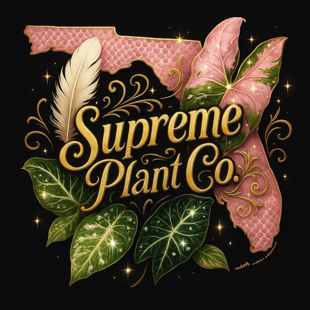 Supreme Plant Co